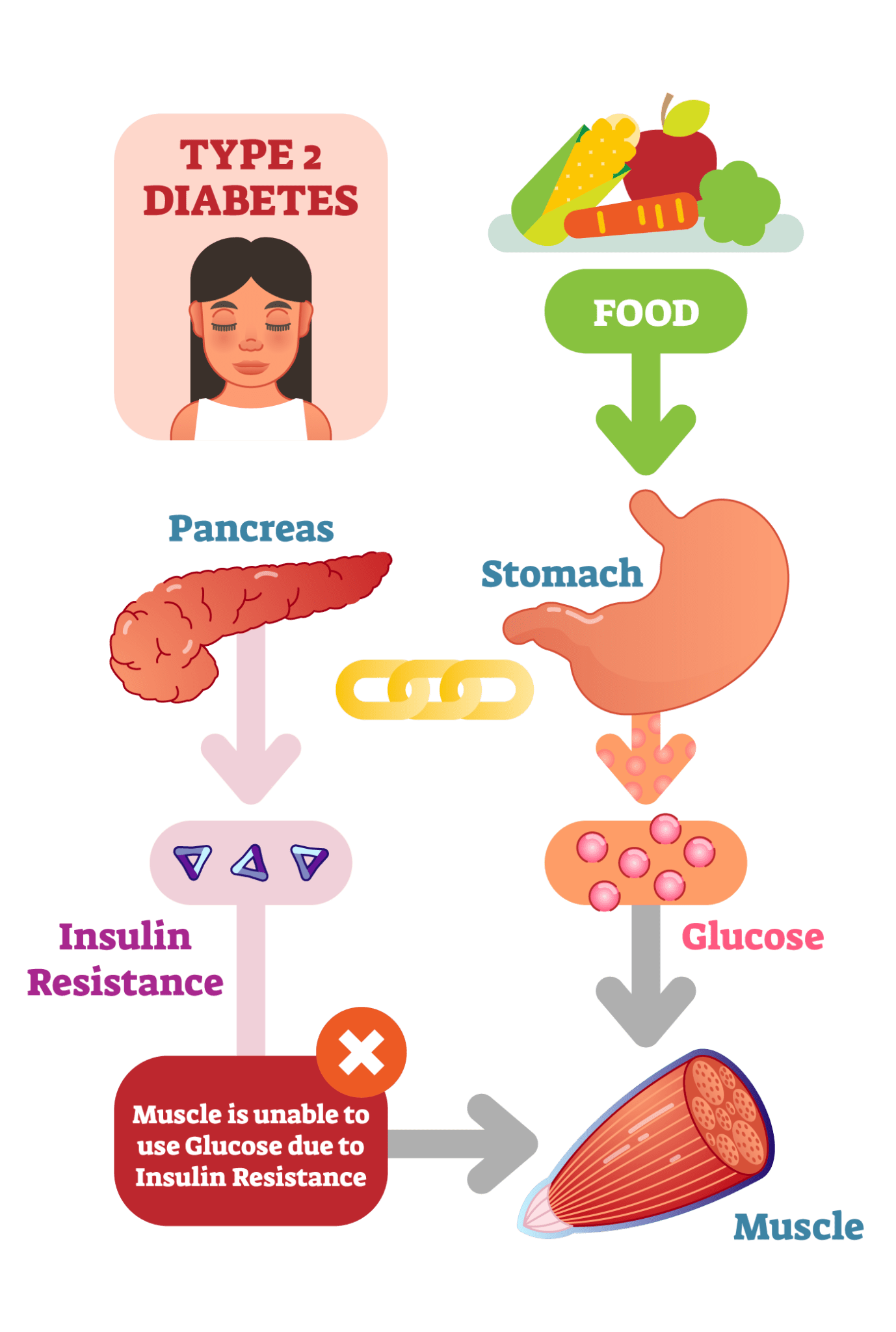 Diabetes Basics - Hunter Diabetes Centre
